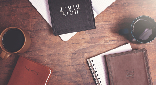 Empowering Dioceses for Professional Ministry